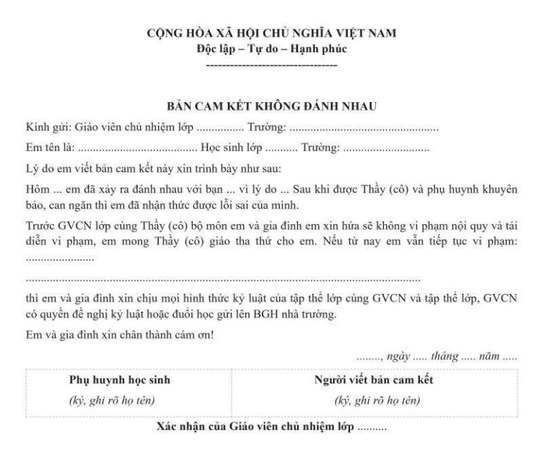 Cách Viết Bản Cam Kết Của Học Sinh đầy đủ Chuẩn Nhất Hệ Thống Trường Hội Nhập Quốc Tế