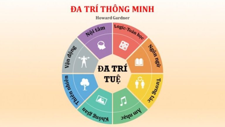 8 loại trí thông minh là gì? Cách nhận biết mình sở hữu loại trí thông ...